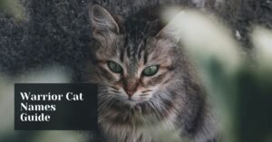 Warrior Cat Names: 500+ Ideas & Name Generator Guide - Catify Next